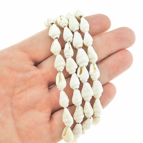 Conch Natural Shell Beads 11mm x 7mm - Ivory - 1 Strand 160 Beads - BD
